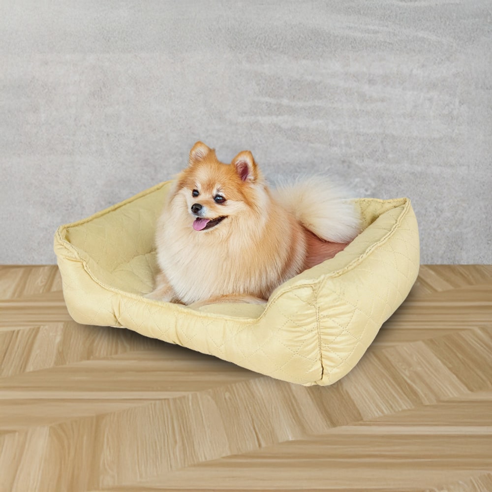 Mascotas – IVEA